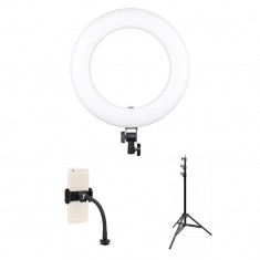 Ring Lights - CameraLK