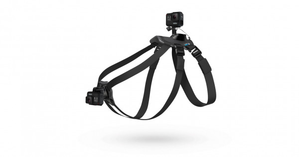 GoPro Fetch - Dog Harness - CameraLK