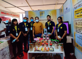 Home - National Enterprise Development Authority