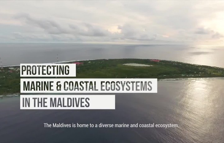 Watch: Protecting Marine & Coastal Ecosystems in the Maldives - Maldives TV