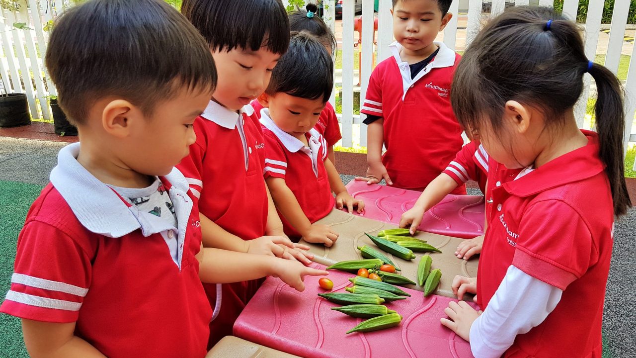 Kindergarten Singapore Archives MindChamps kindergarten-singapore-archives-mindchamps