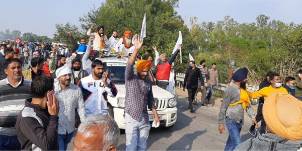 Molitics - Media of Politics