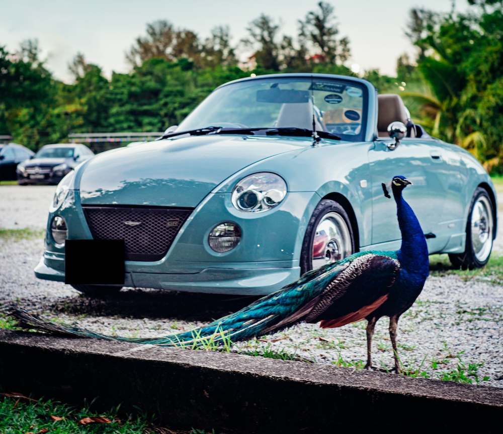 In The Passenger Seat: Ming Yang and His @financialmistakecopen ...