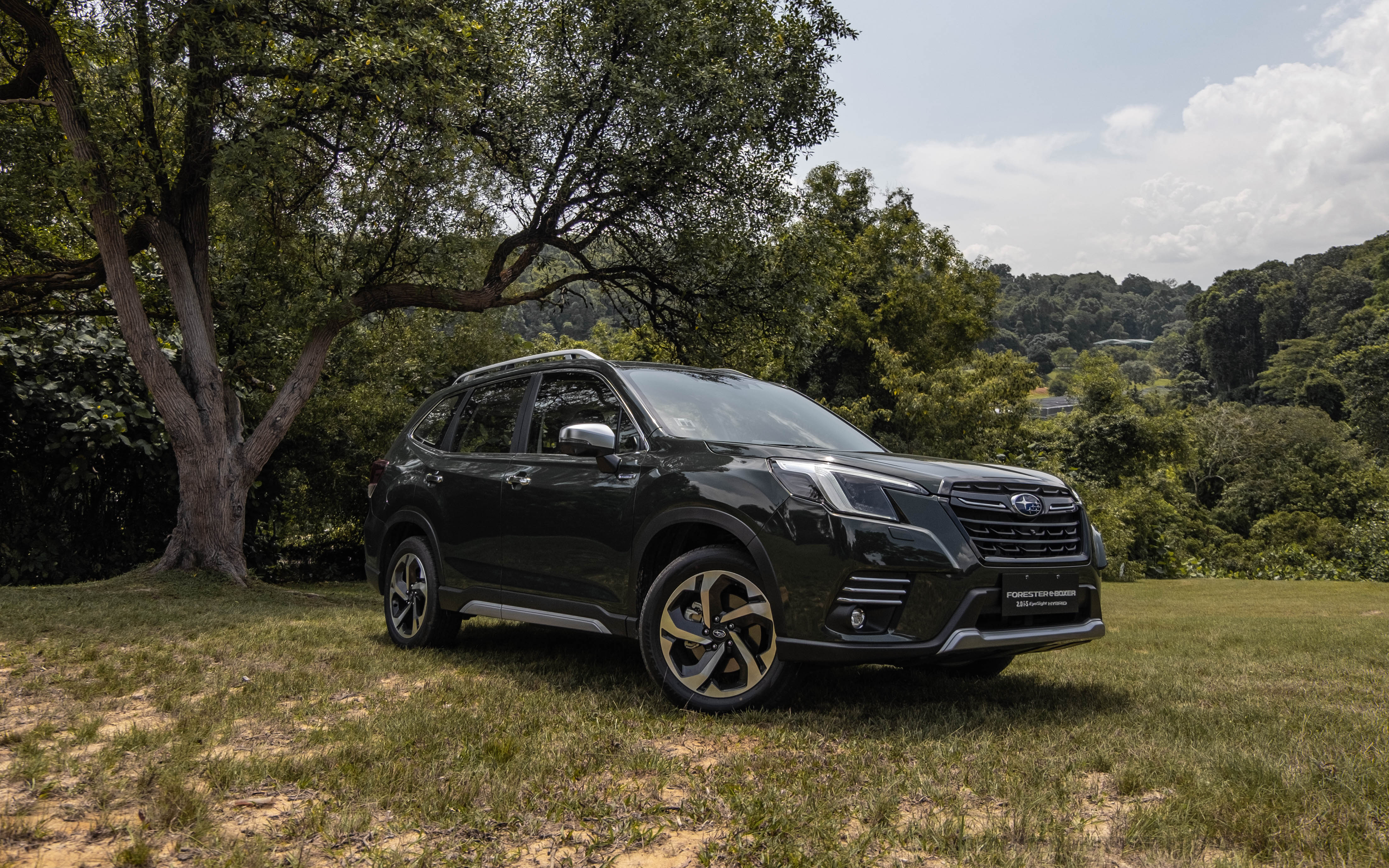 Week of 17th October: Opel Mokka-e, Subaru Forester Review, Toyota ...