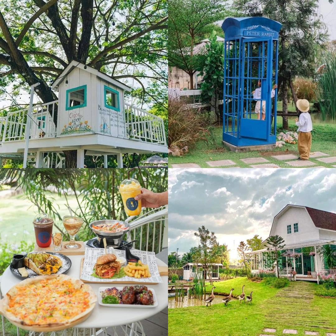 Top 10 Pet Cafés in Bangkok You Should Visit! | Articles | Motorist ...