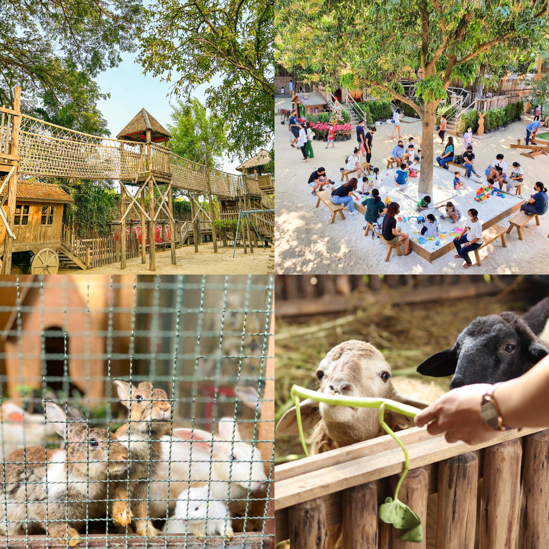 Top 10 Pet Cafés in Bangkok You Should Visit! | Articles | Motorist ...