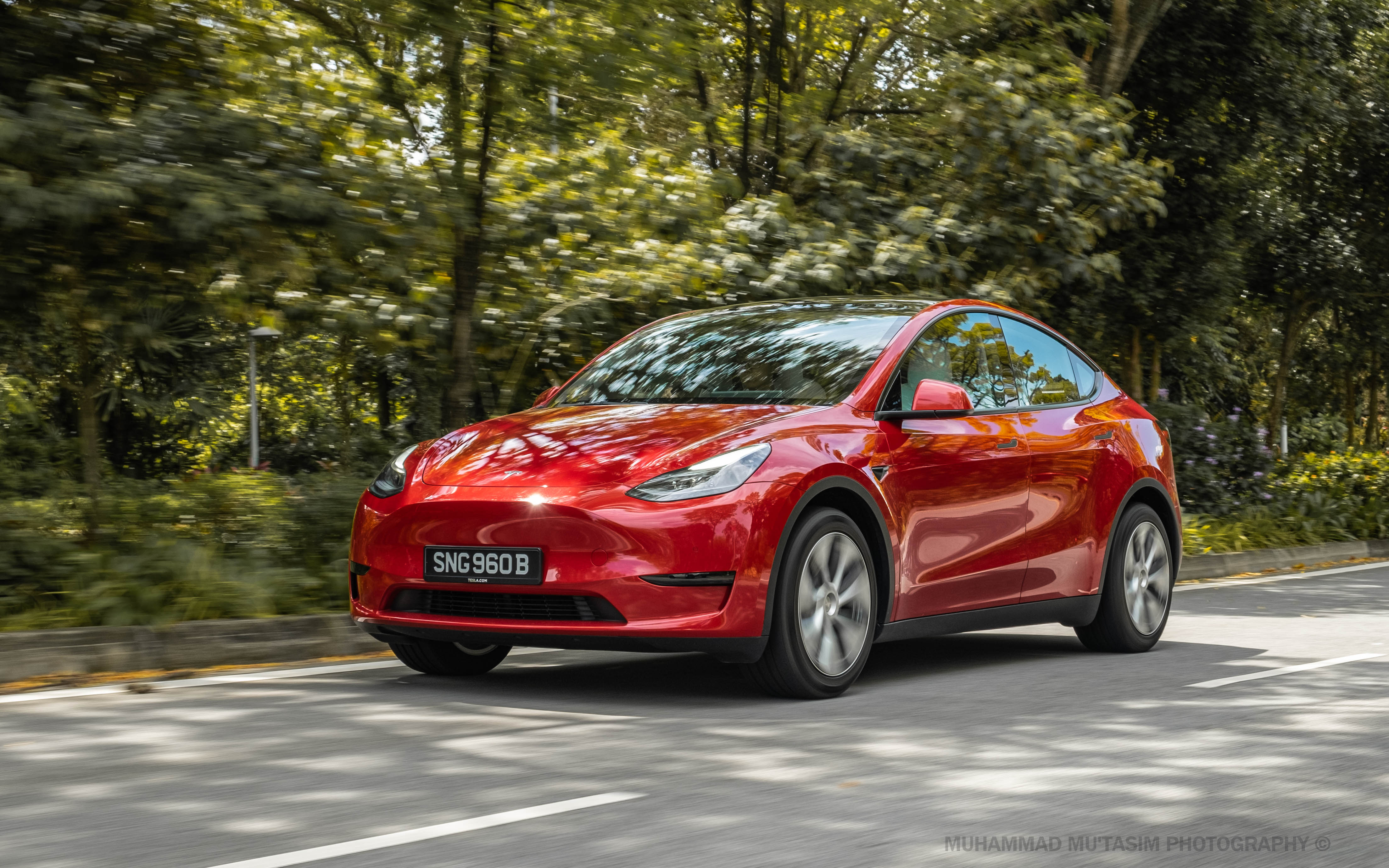 mReview: Tesla Model Y RWD - The New American Dream | Articles ...