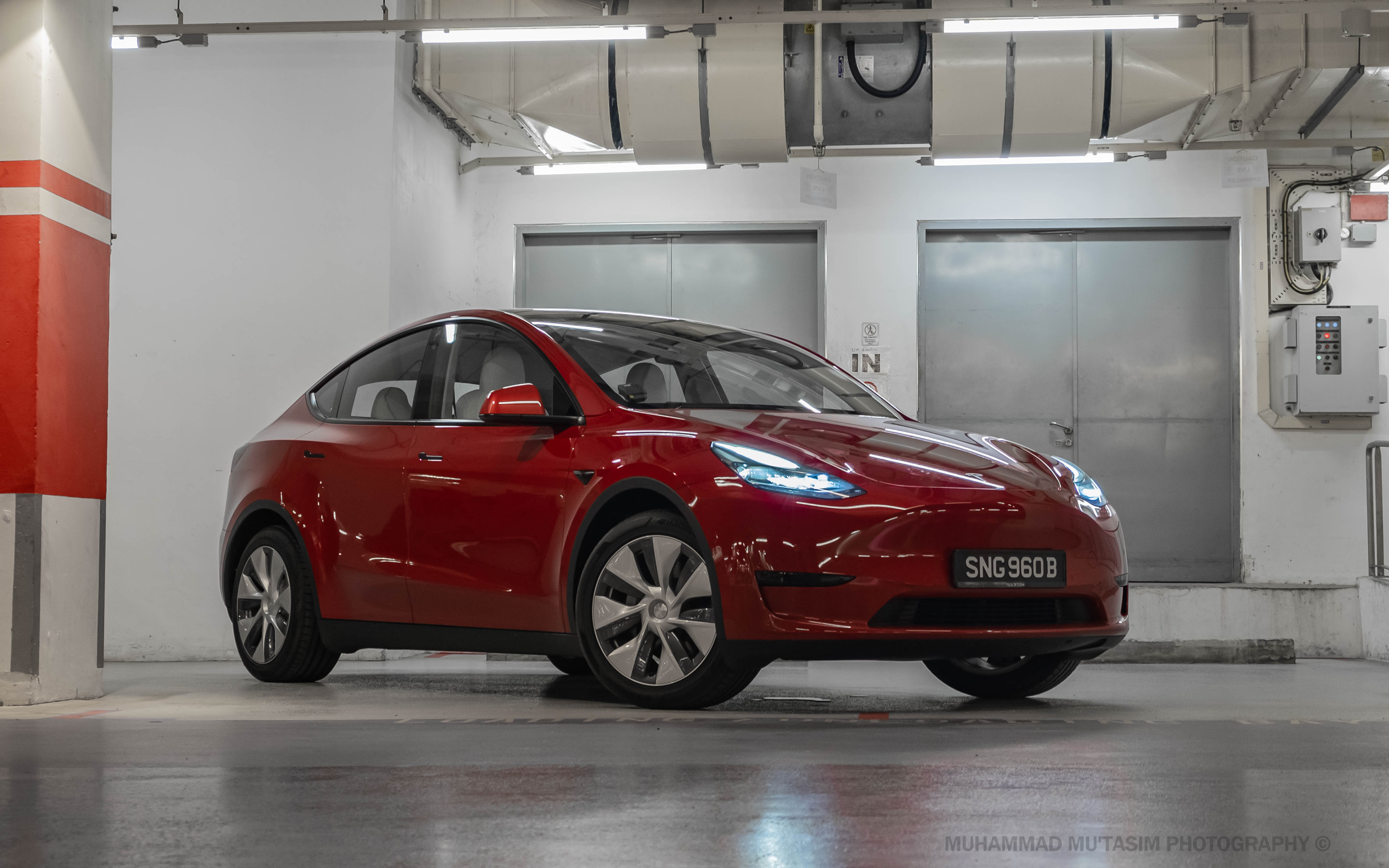 mReview: Tesla Model Y RWD - The New American Dream | Articles ...