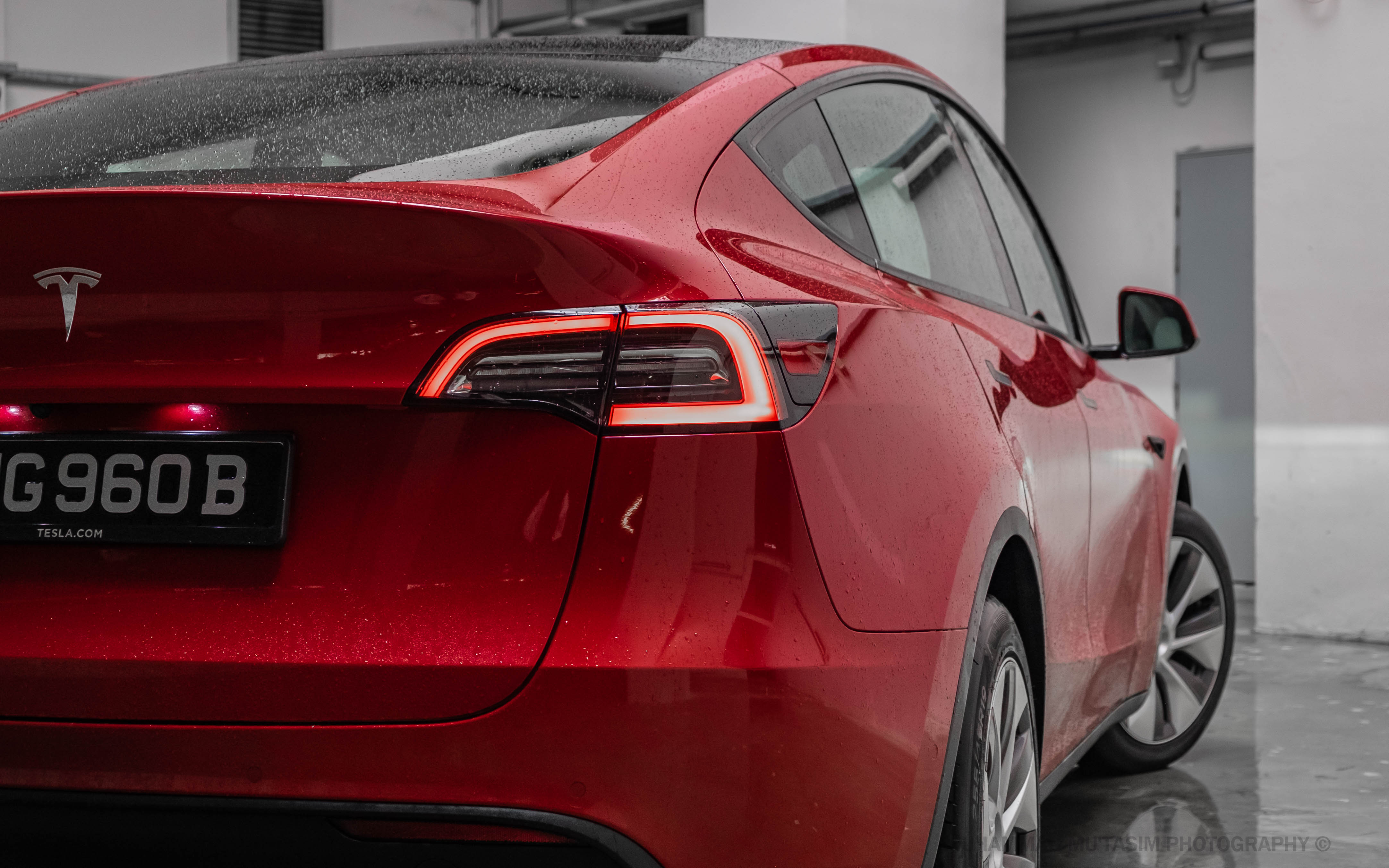 mReview: Tesla Model Y RWD - The New American Dream | Articles ...