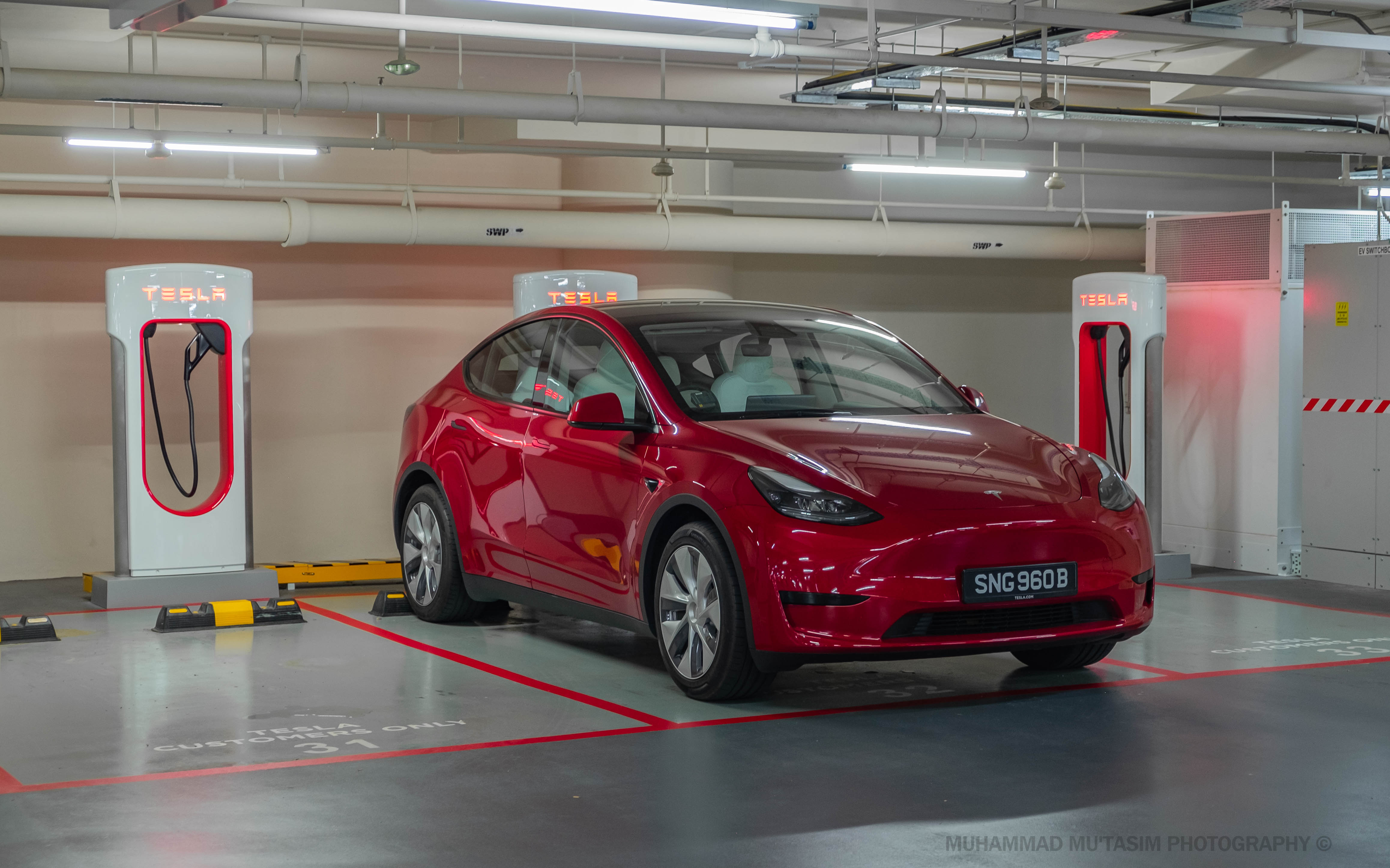 mReview: Tesla Model Y RWD - The New American Dream | Articles ...
