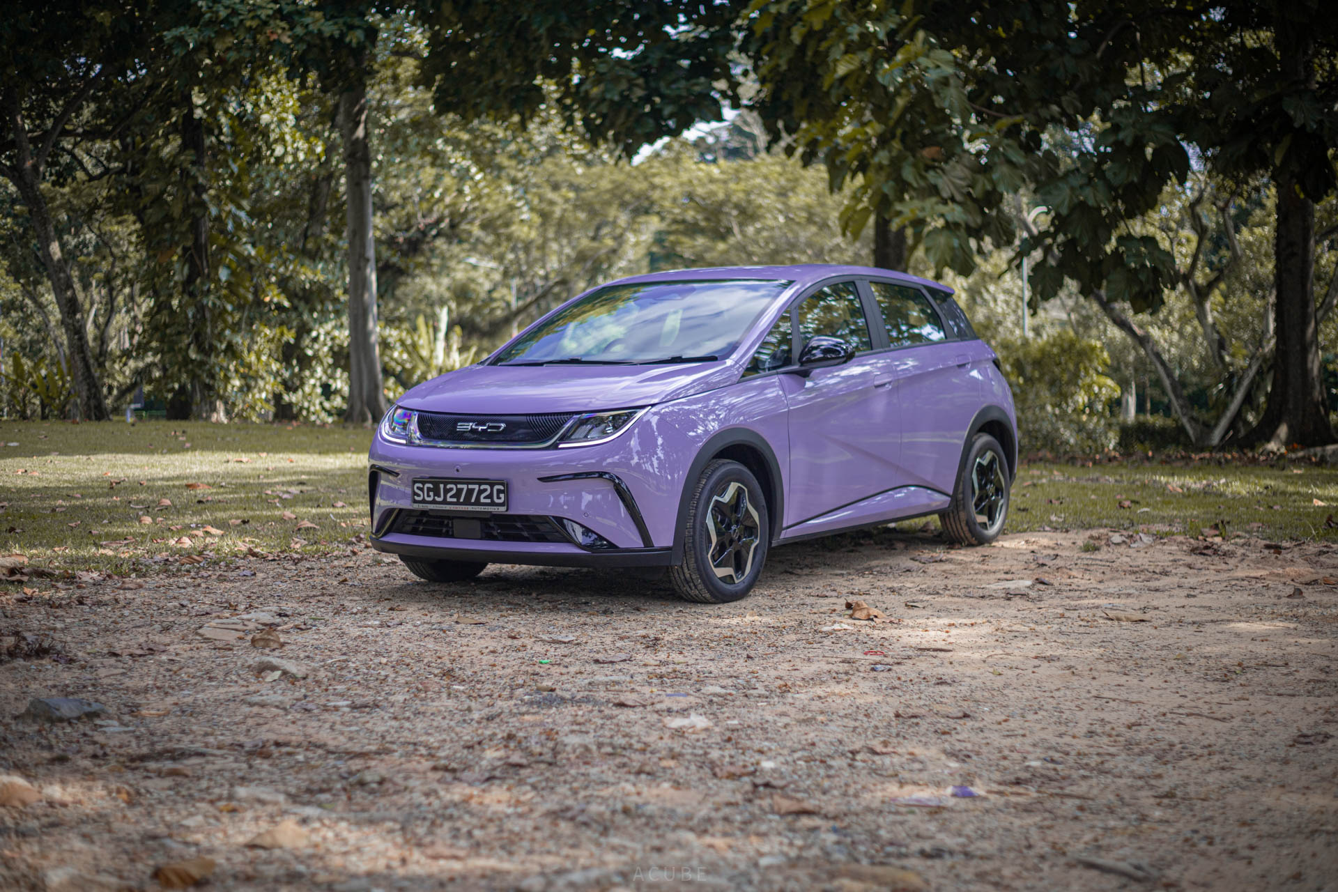 mReview: 2023 BYD Dolphin - Making a Convincing Splash | Articles ...