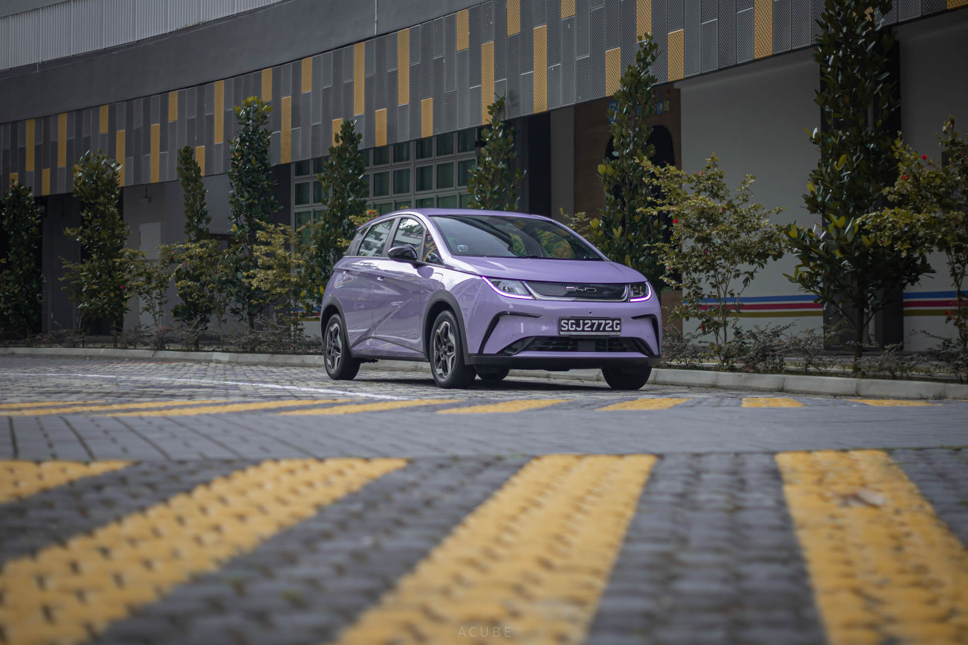 mReview: 2023 BYD Dolphin - Making a Convincing Splash | Articles ...