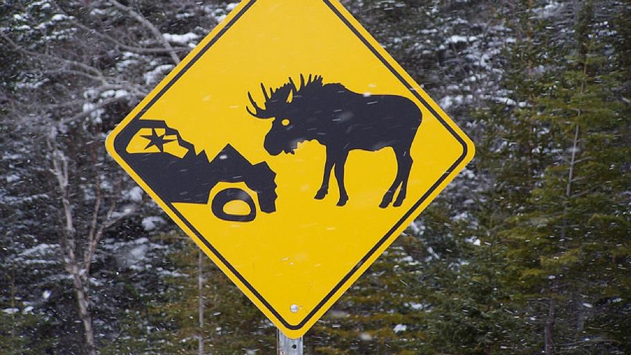 21 Most Bizarre Traffic Signs from Around the World | Articles ...