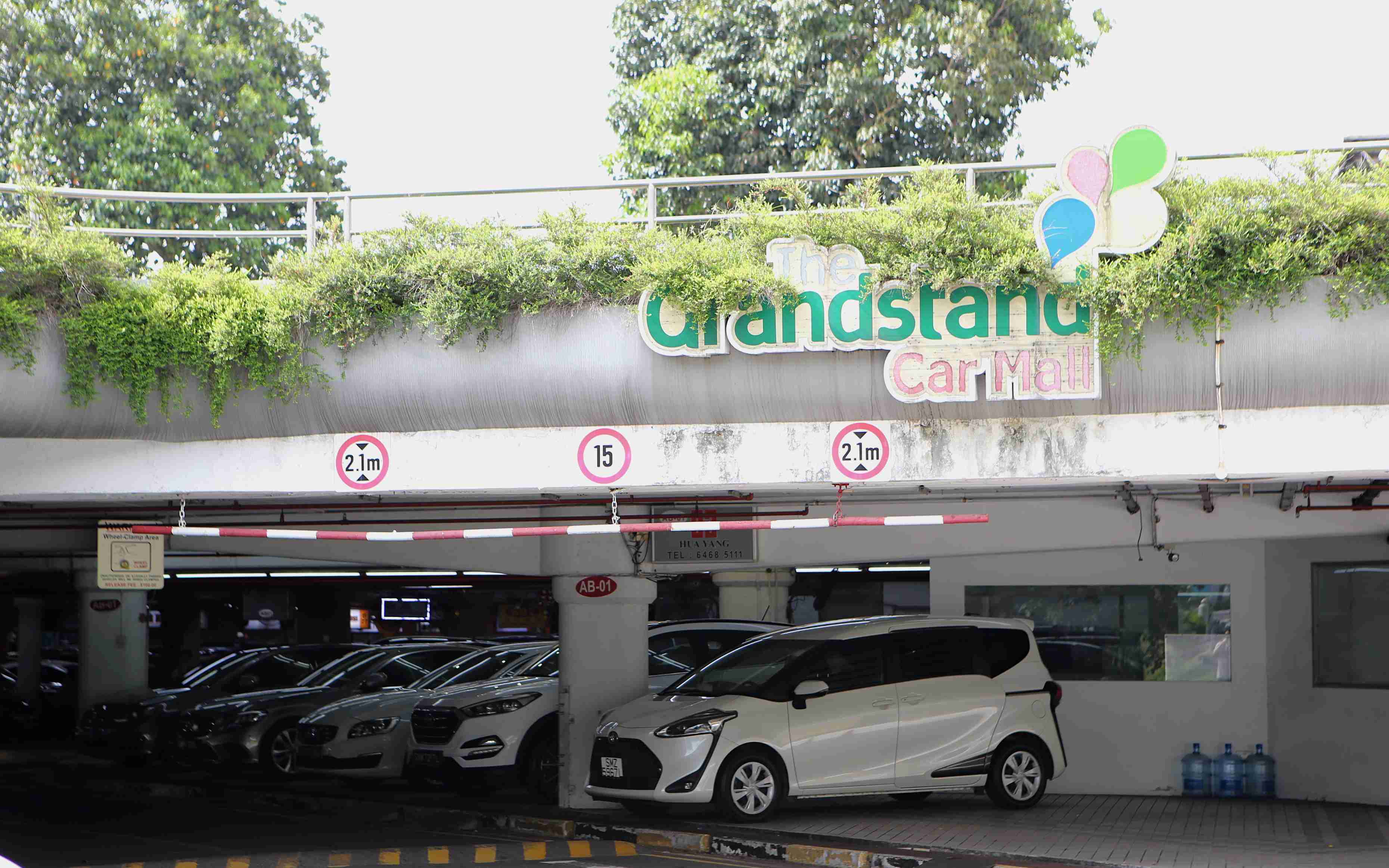 This little city of used cars at The Grandstand Car Mall was our turf ...