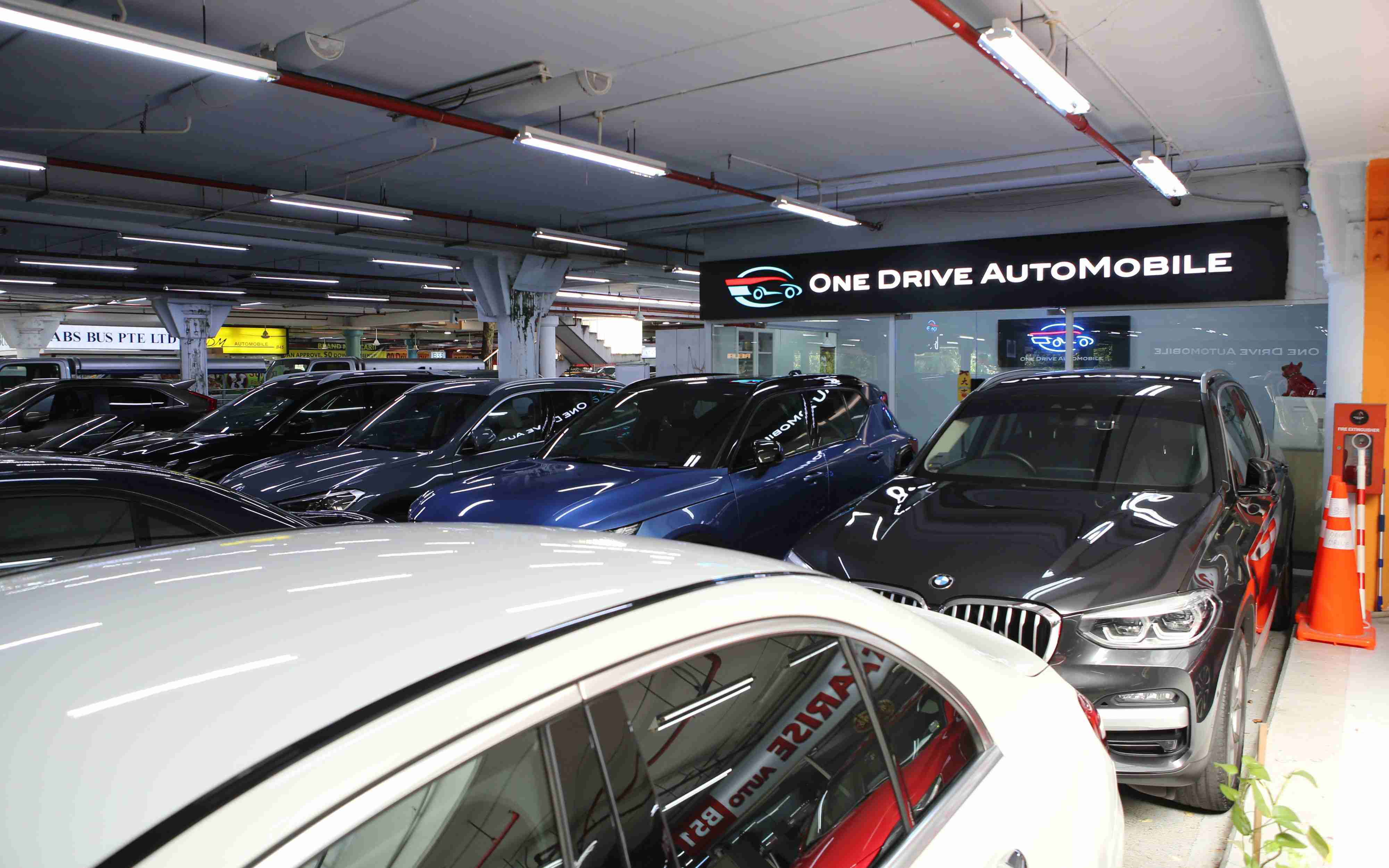 This little city of used cars at The Grandstand Car Mall was our turf ...