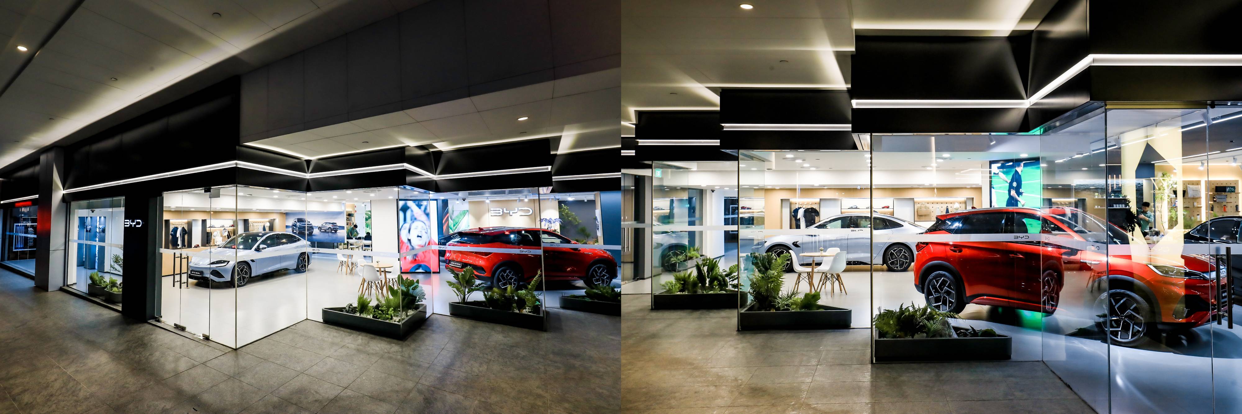 BYD sets up shop in CBD with new Harmony Auto showroom at 77 Robinson ...