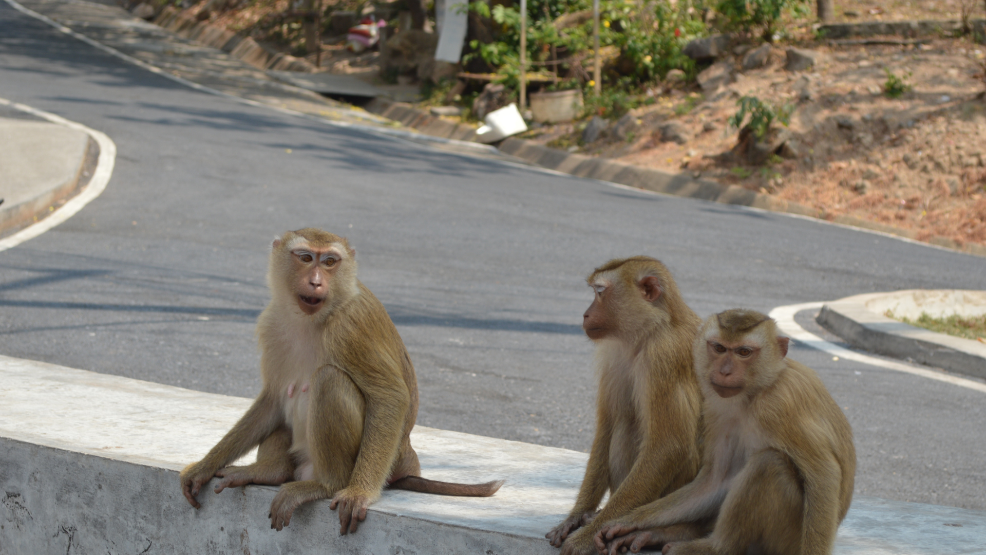 Conquering the WCE: a road trip adventure | Articles | Motorist Malaysia