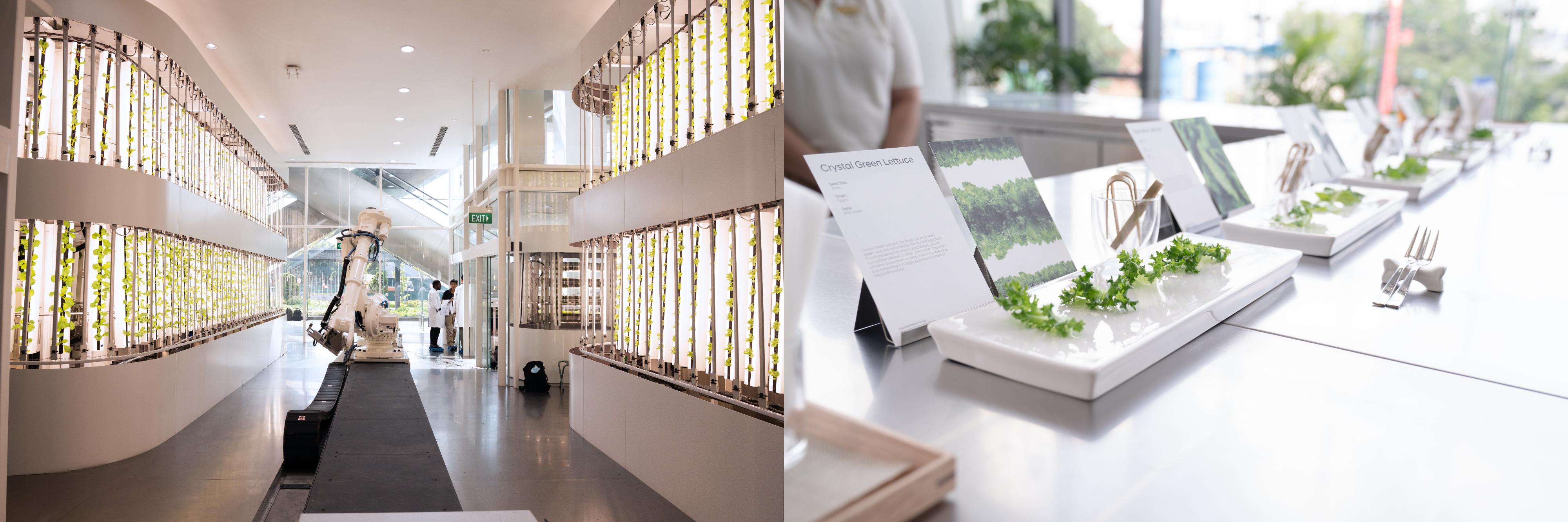 Jurong’s first and only restaurant by a Michelin-star chef is in the ...