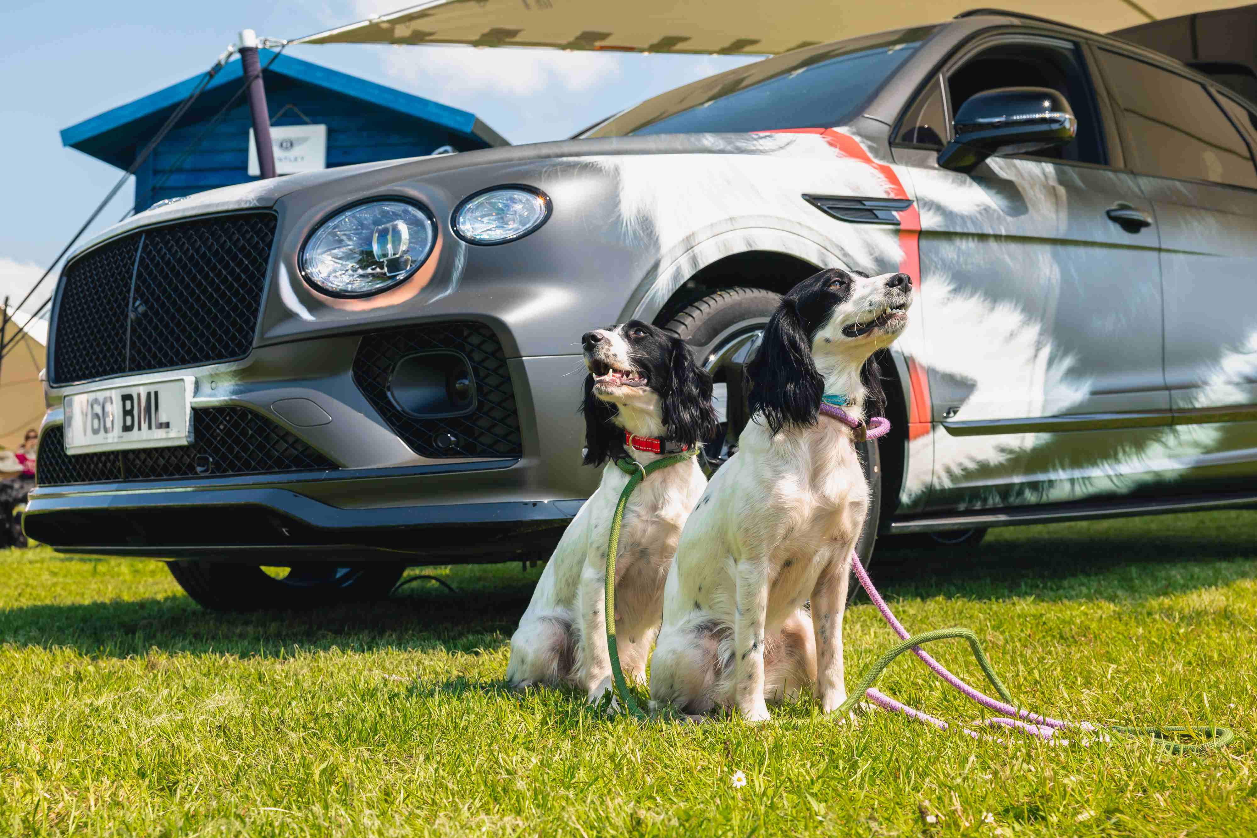 Motormouth: Pets can have car names, but petrolheads shouldn't name ...