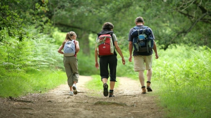 Kinh nghiệm đi... bộ năm 2025