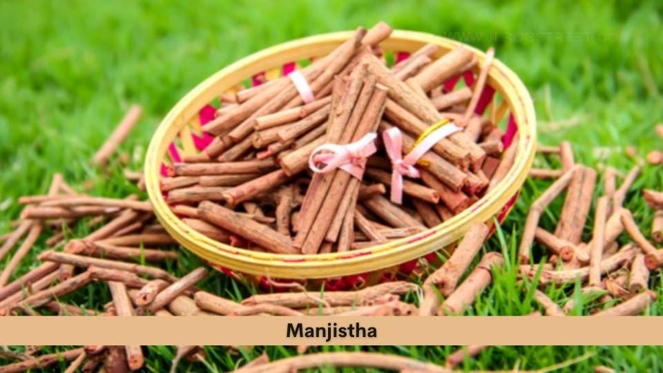 Manjistha: Health Benefits, Uses, Dosage and Side Effects