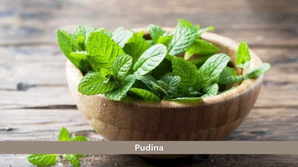Pudina Health Benefits, Uses, Dosage and Side Effects