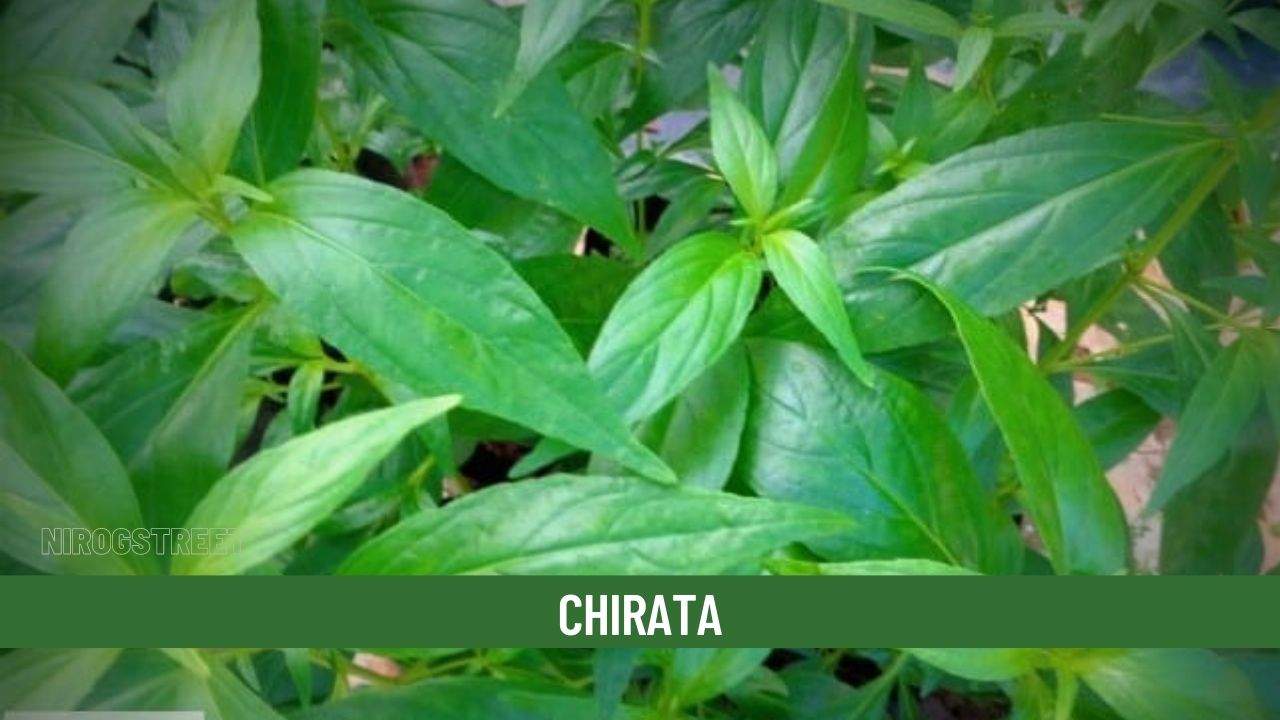 Chirata