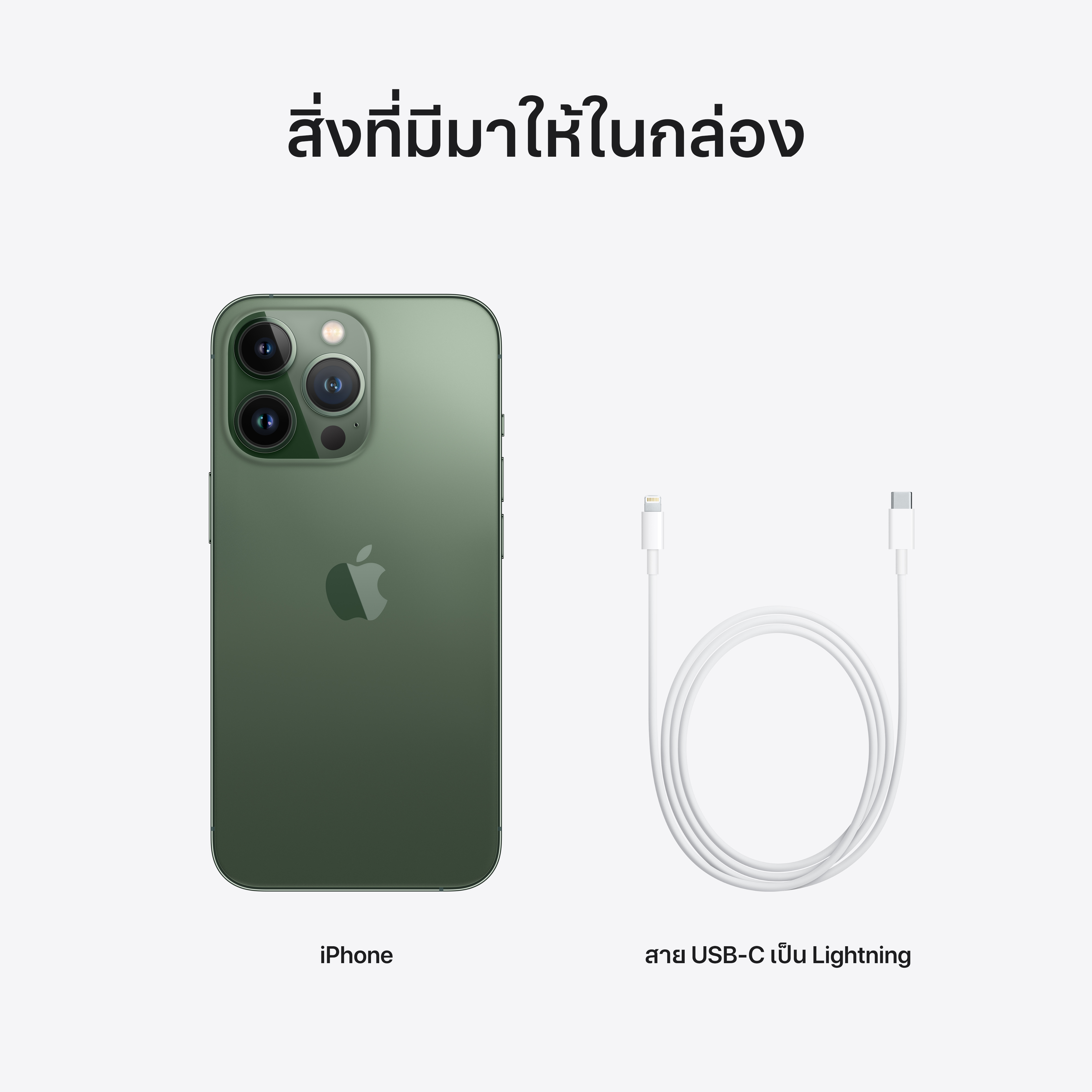iPhone 13 Pro Max Alpine Green | Jaymart