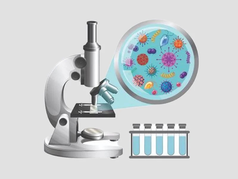 GMS Scientific India Private Limited,Chennai, India - Company Profile