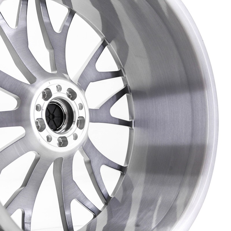 Permaisuri | Facewheels - FW176 | Brushed Titanium 22