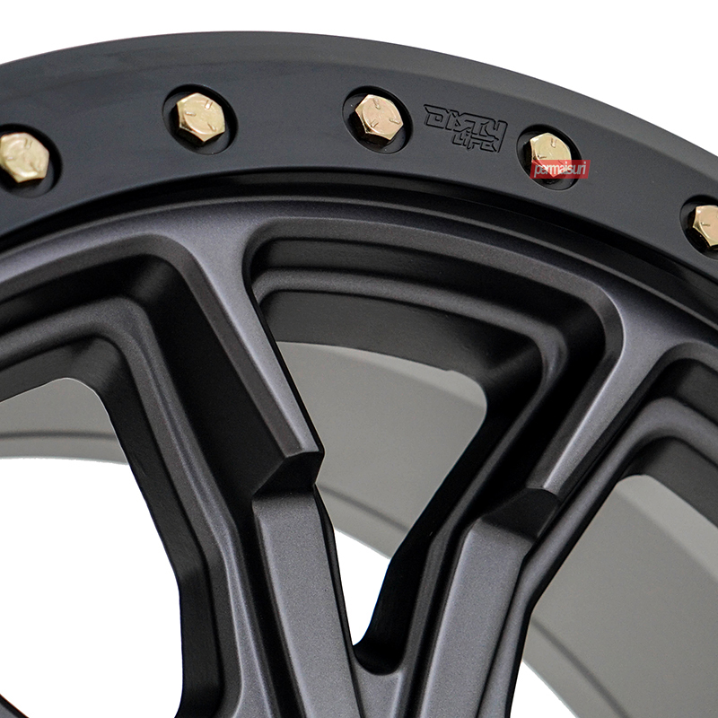 Permaisuri | _ - Dirty Life DT-1 Matte Gunmetal 20