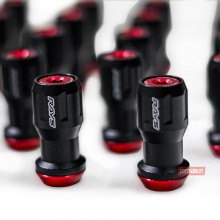 Permaisuri | Accessories - Rays Formula Nut (FN II) M 12 x 1.5 Black - Red