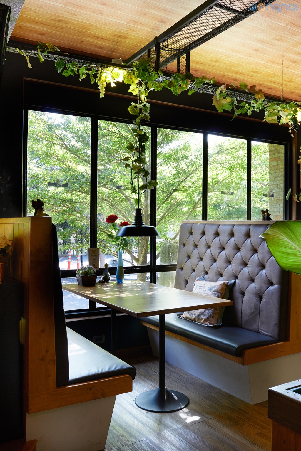 สวรรค์ของคนรักปู! ปูหิมะหวานฉ่ำหอมกลิ่นเครื่องเทศ@Pata Plantation [Ad ...