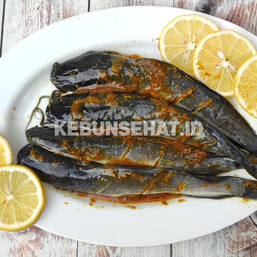 Kebun Sehat - Ikan Lele Bumbu Frozen 1 Kg