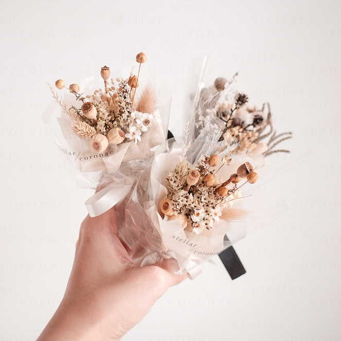 Stellar Coronae - StellarCoronae - Mini Bouquet Natural Series ...