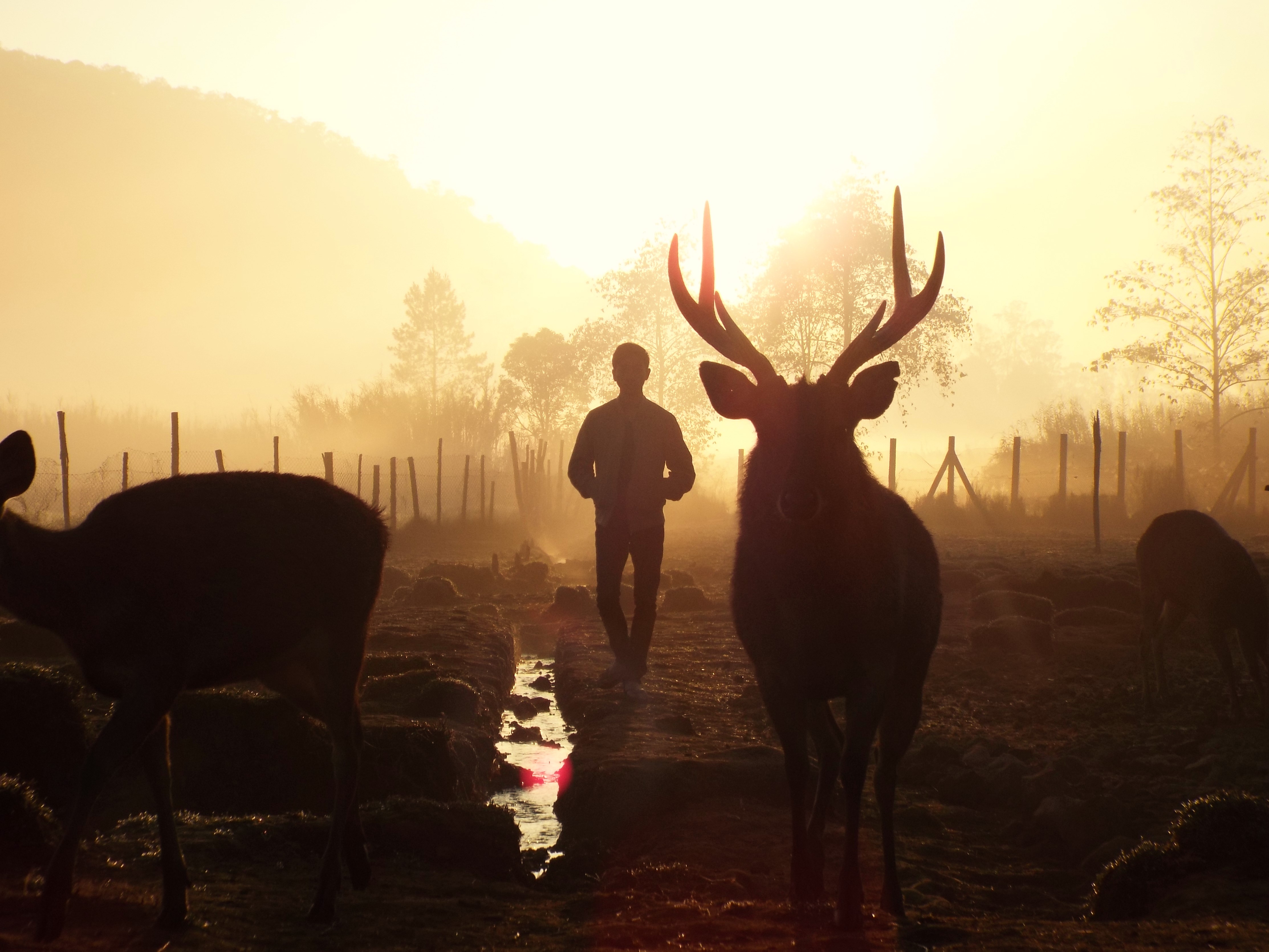 Menikmati Indahnya Pesona Alam Ranca Upas di Bandung Selatan