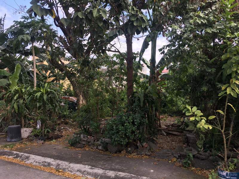 Project 8, Visayas Avenue, Bahay Toro, Quezon City Lot for Sale ...