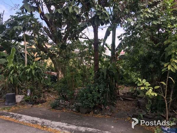 Project 8, Visayas Avenue, Bahay Toro, Quezon City Lot for Sale ...