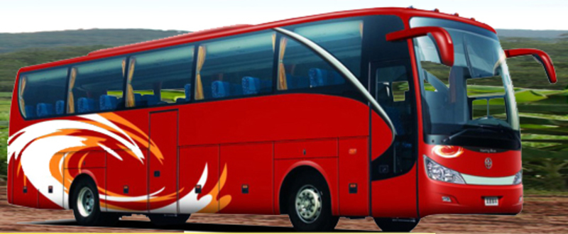 Brandnew Asia Star BUS for sale 49+1+1 str | PostAds.ph