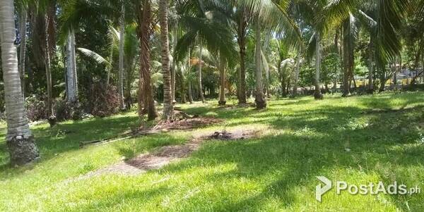 lot for sale libuac, Babak, Isaland Garden City of Samal | PostAds.ph