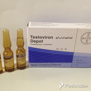 Testoviron Vivrone Sustanon Bayer Organon | PostAds.ph