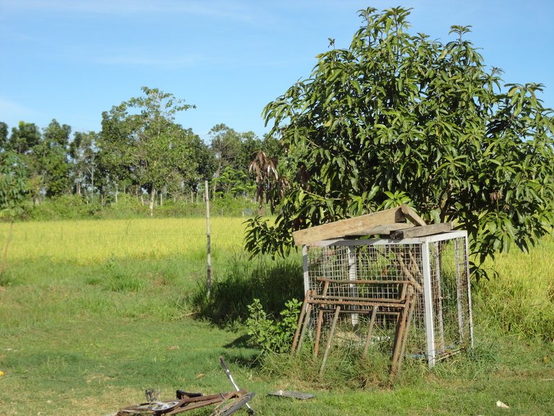 Farm Lot in Bakod bayan , Cabanatuan City 37088 m2 | PostAds.ph