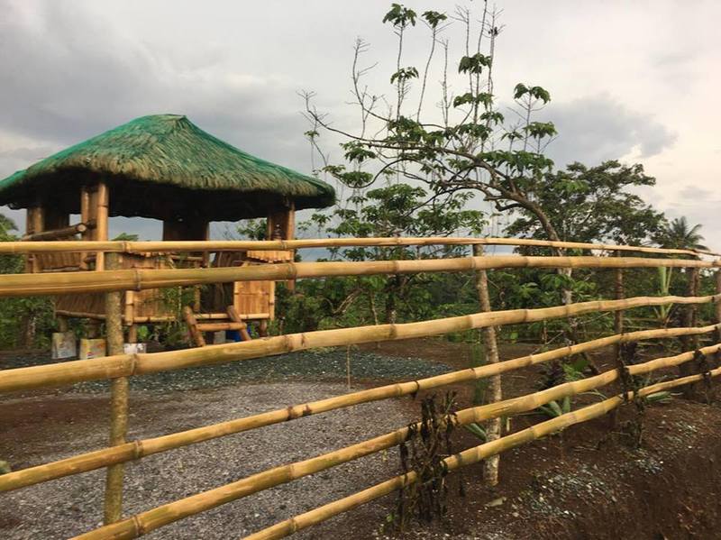 near save more amadeo farm lot for sale in amadeo near tagaytay ...