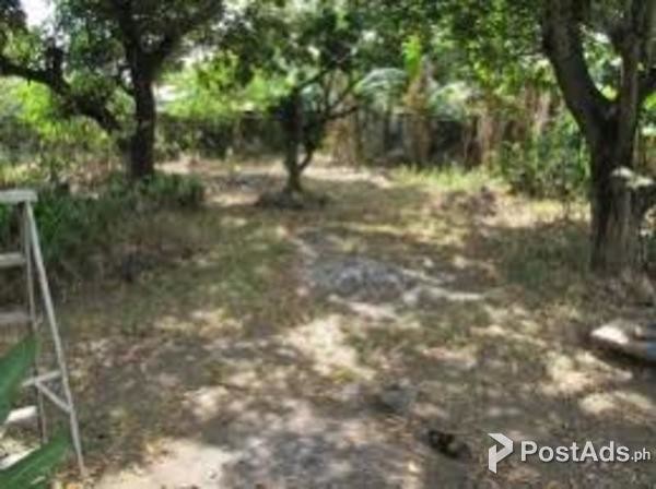 Cielito Homes Subdivision, Caloocan City Residential Lot | PostAds.ph
