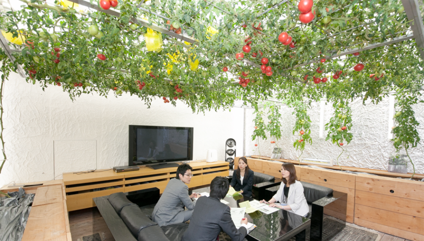 Interesting facts about Pasona Group's Office In Tokyo