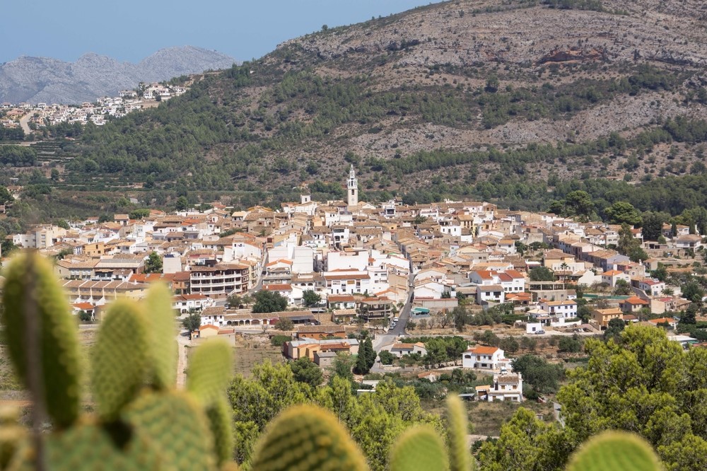 A day trip to the Jalon Valley