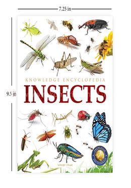 Insects: Wonder House Books | Rokomari.com