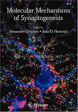 Molecular Mechanisms of Synaptogenesis : Alaa El-Husseini | Rokomari.com