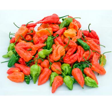 Naga Chilli ‍Short Seed : Non-Brand | Rokomari.com