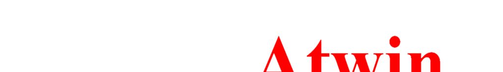 atwin.com.sg - .SG Domain Names: Singapore Business Directory